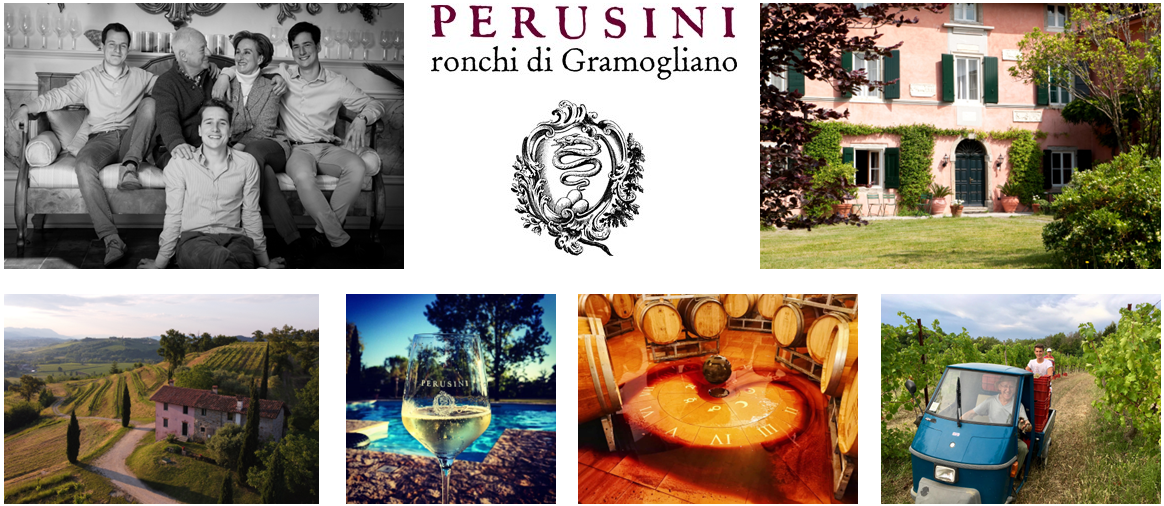 Perusini - VÍNO KAMELOT